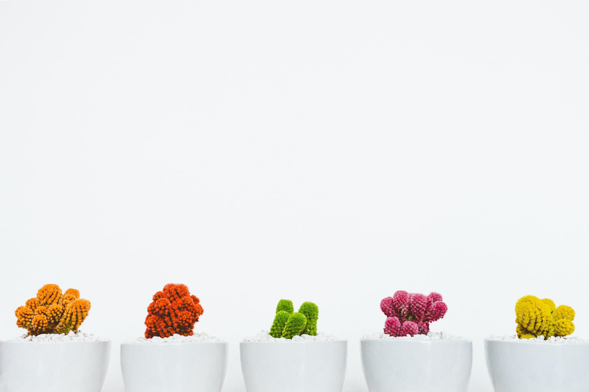 How to Use Colors to Communicate Your Feelings Sepia Flora